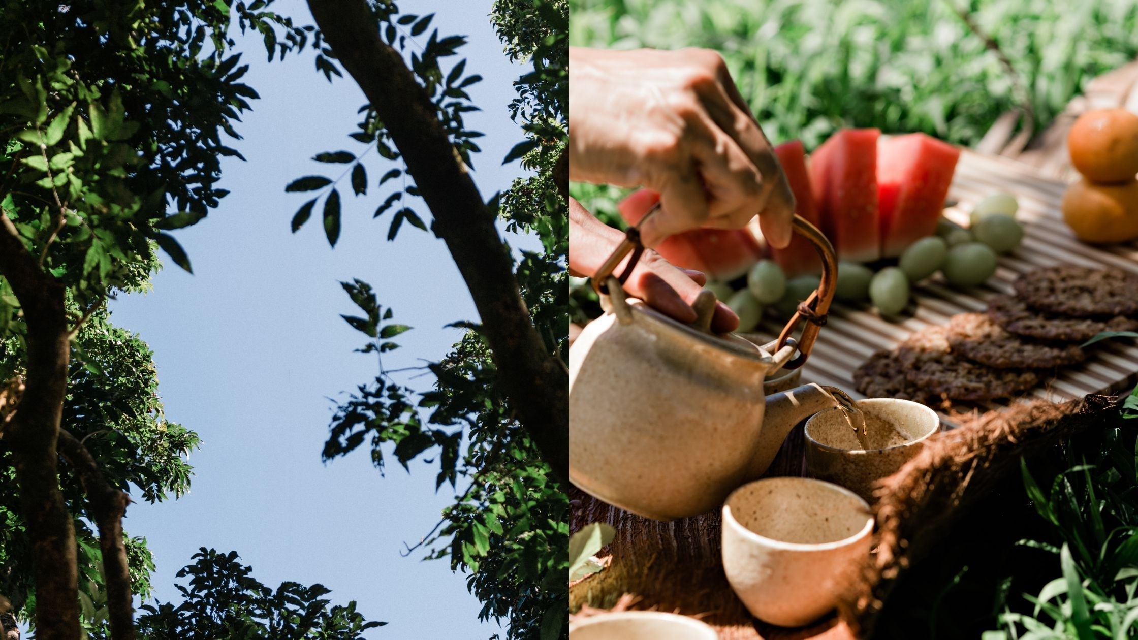 The Giving Trees – OluKai Europe